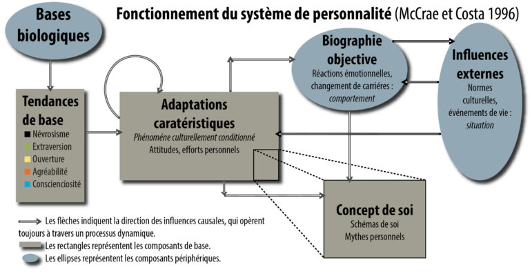 ♦PP5 : La personnalité selon la perspective dispositionnelle – Hacking ...